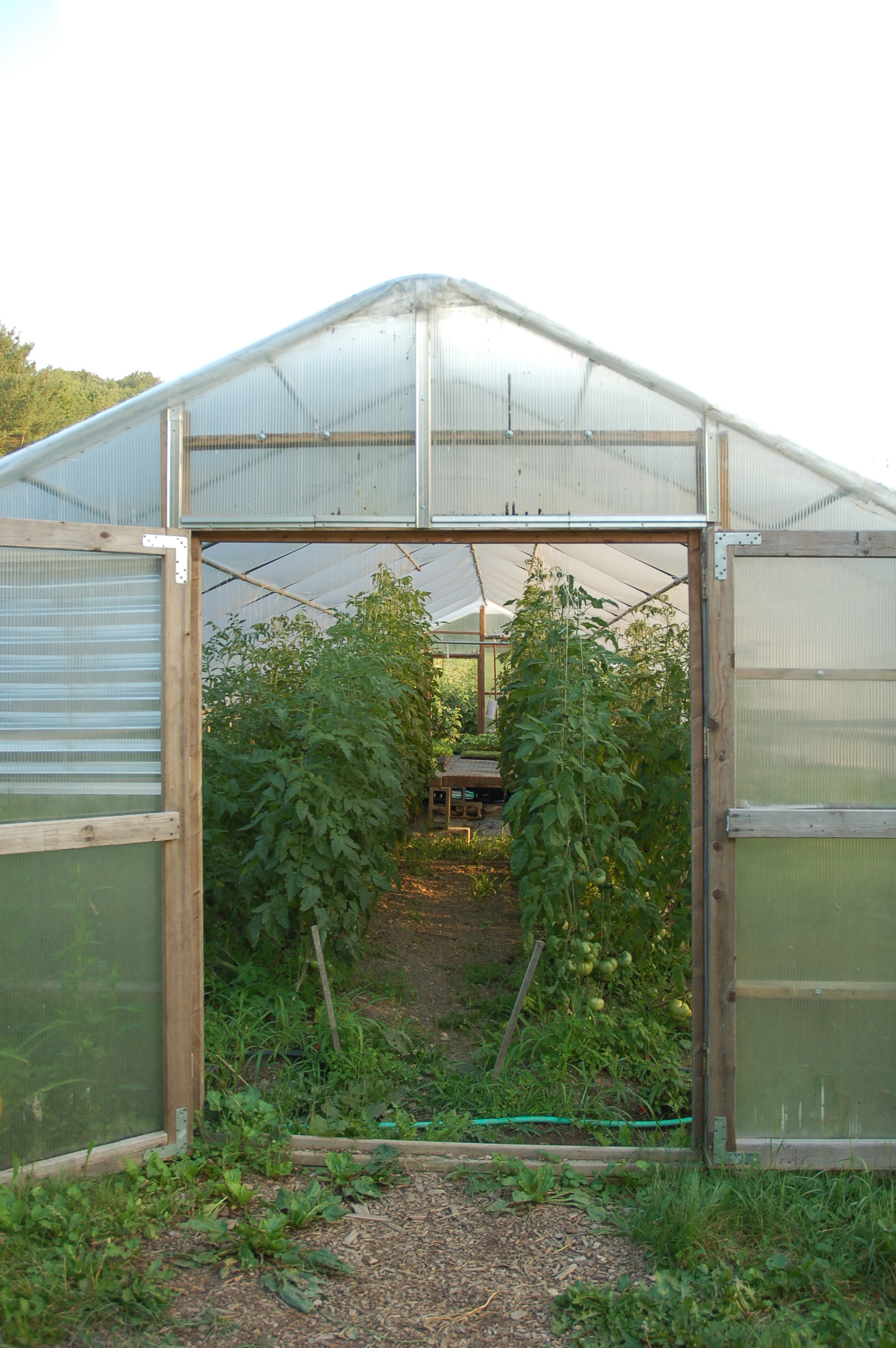 New Leaf Farm | Sustainable Agriculture in Lebanon Springs